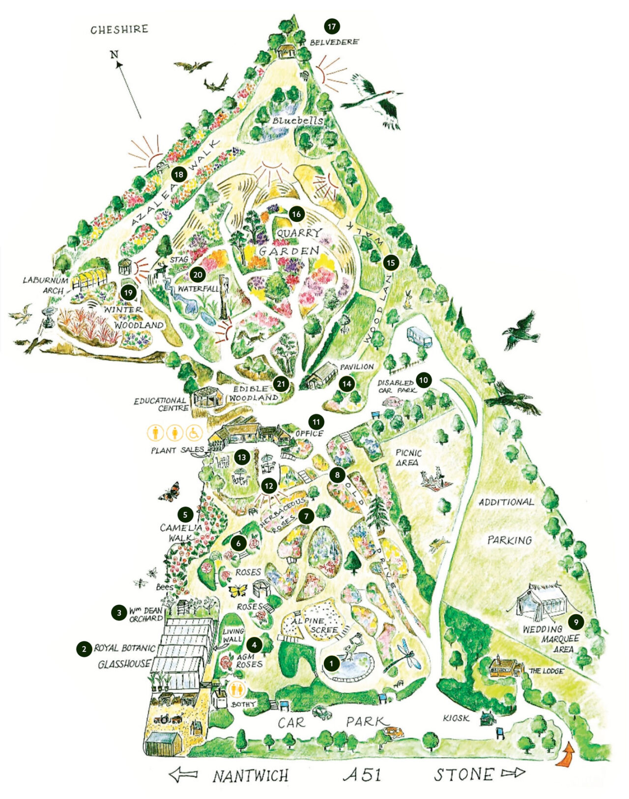 About | Dorothy Clive Garden